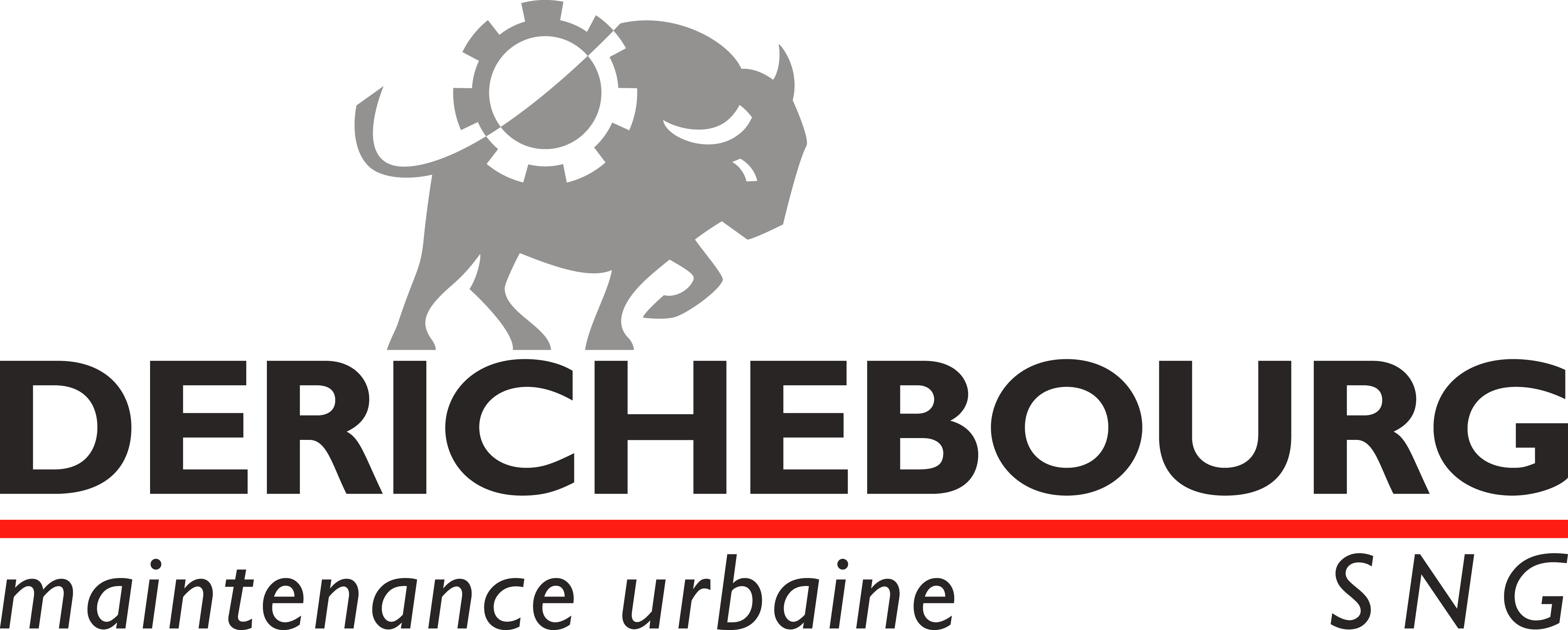 Derichebourg Multiservices - Recherche d'offres d'emploi
